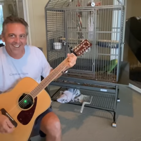 Tico Time! – Lisa Miller Associates