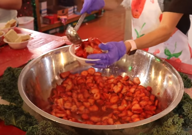 Taking In the Florida Strawberry Festival – Lisa Miller Associates