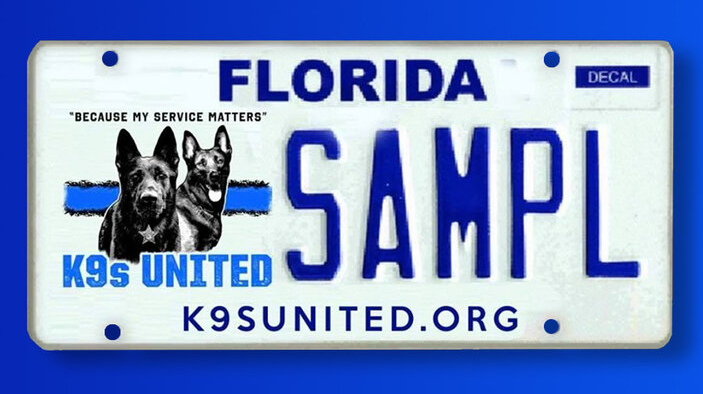 The Star of the Plate – Lisa Miller Associates