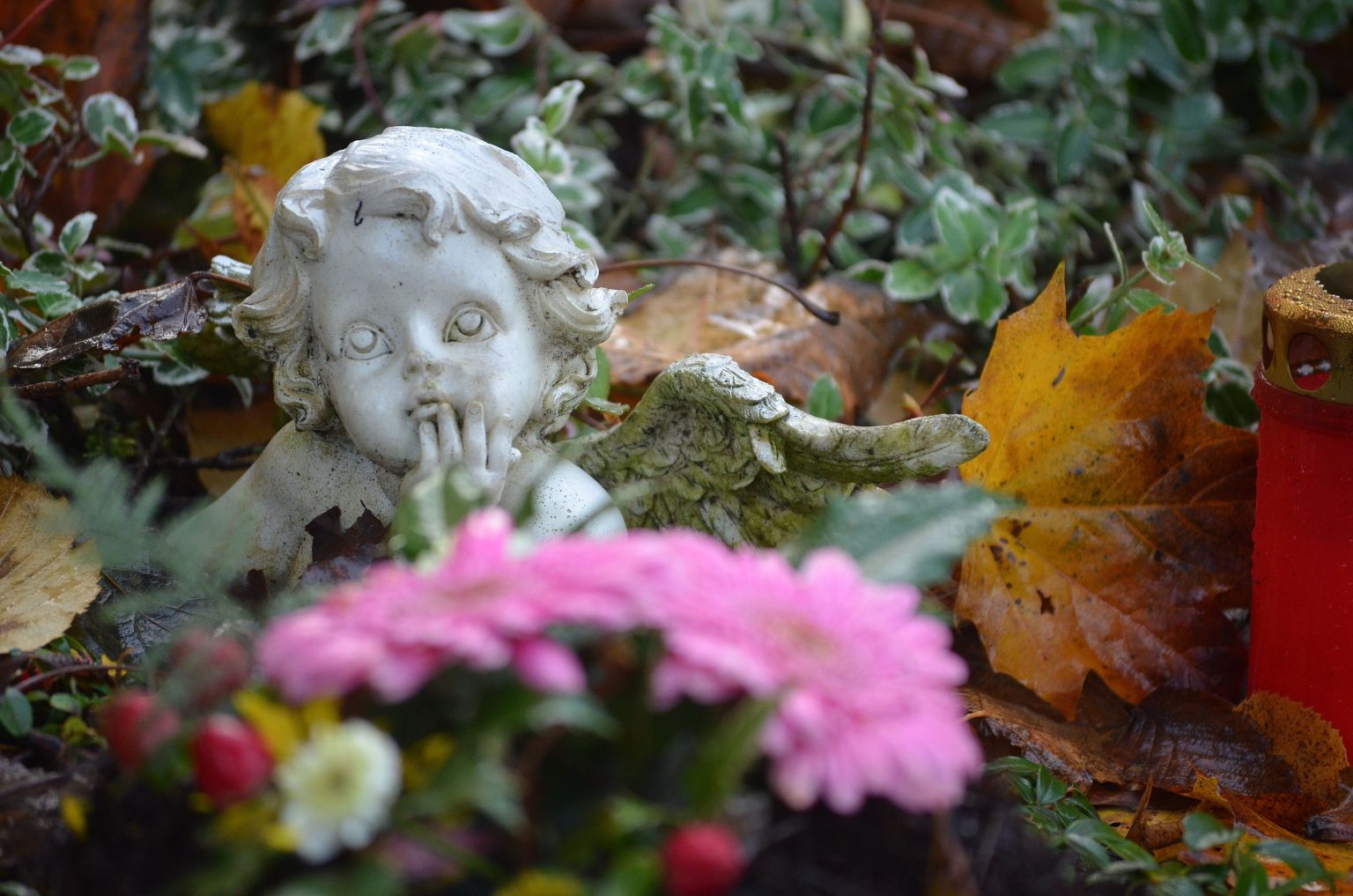 Guardian Angel – Lisa Miller Associates